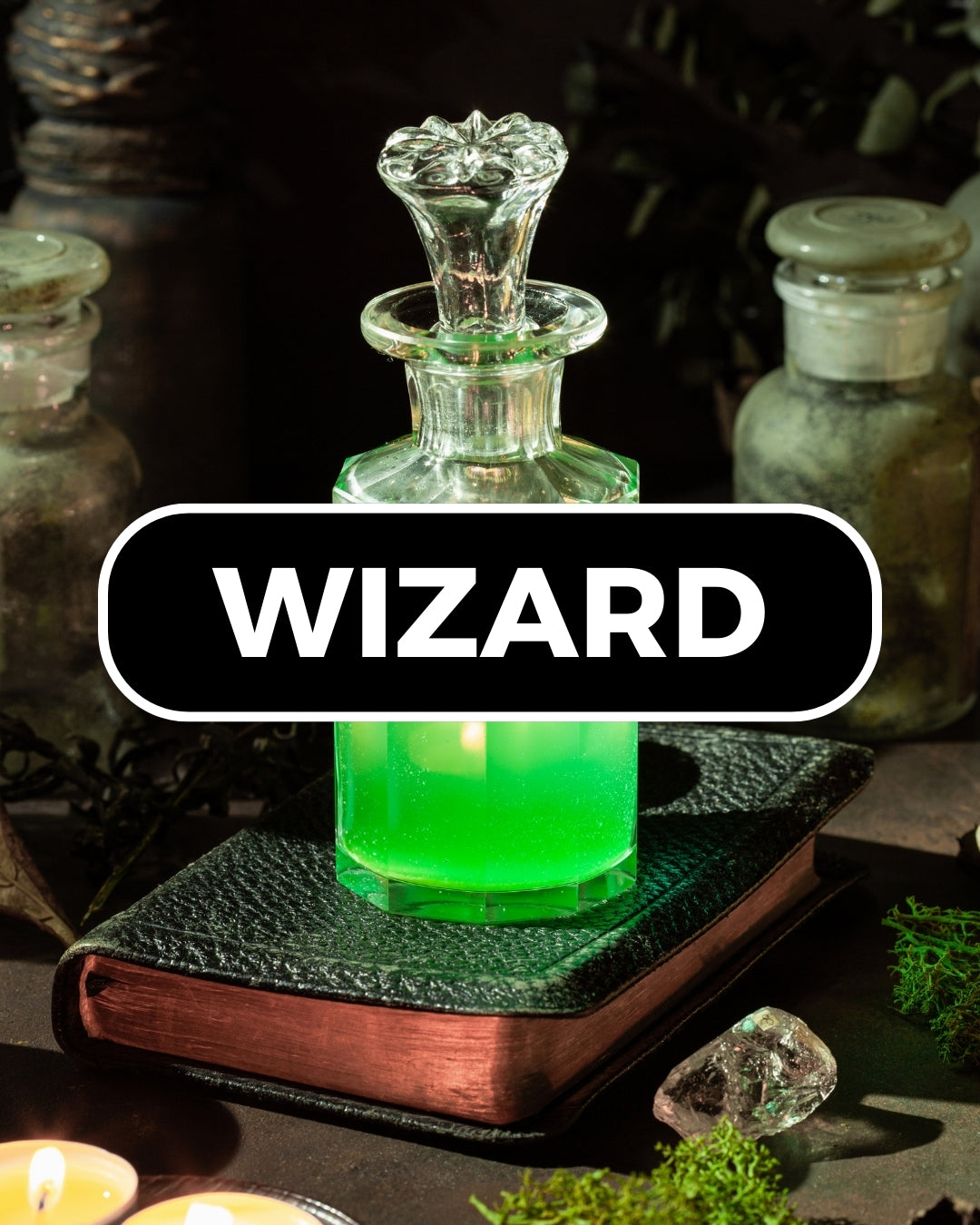 Wizard Collection | CAPICHE CAPS